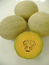 Melons | Seneca Vegetable Research, Inc