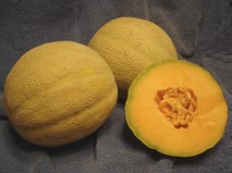 Melons | Seneca Vegetable Research, Inc