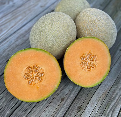 Shipping Melons | Seneca Vegetable Research, Inc